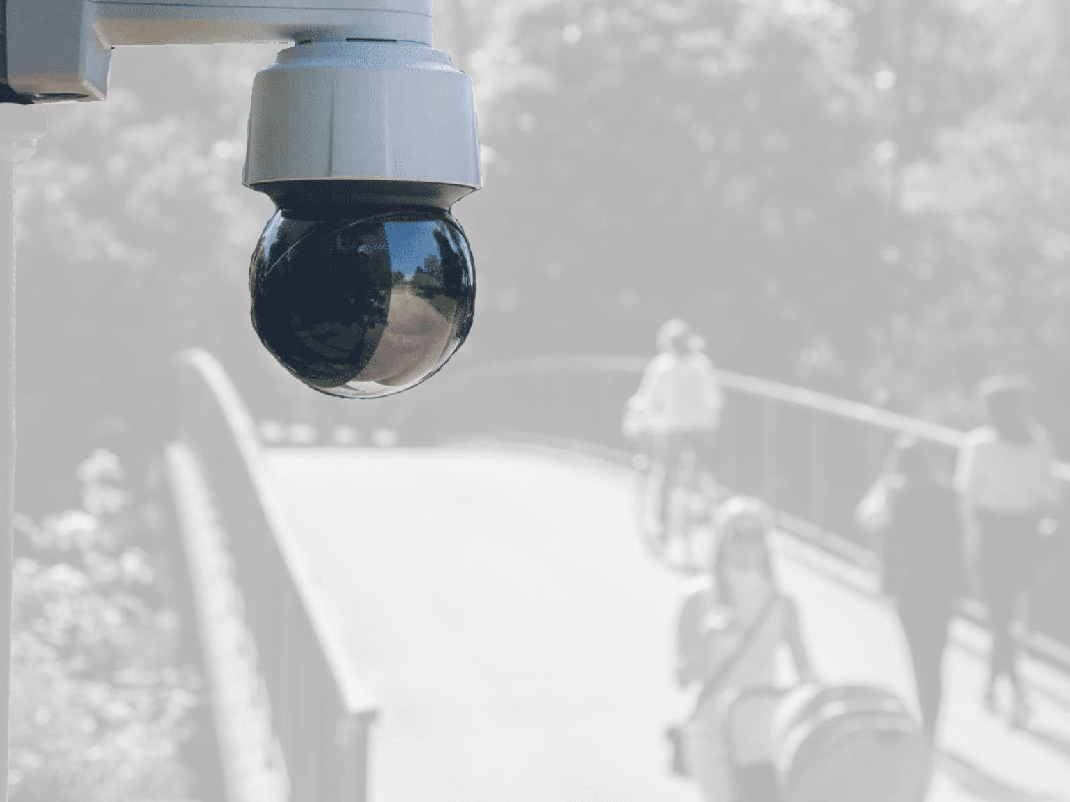 Axis Q6135-LE PTZ: Clarity & Control in Surveillance